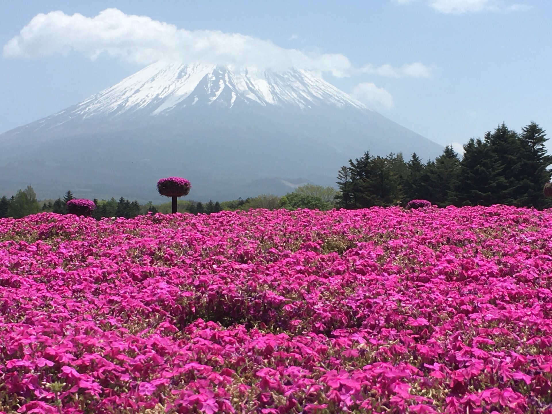 Ultimate Japan Itinerary: Explore the Best of Japan in 3 Weeks ...